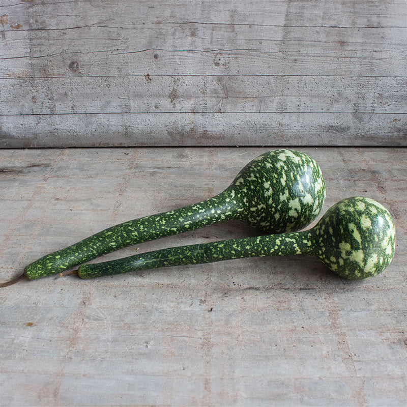 Fleskalebas | Dipper | Jansen Zaden